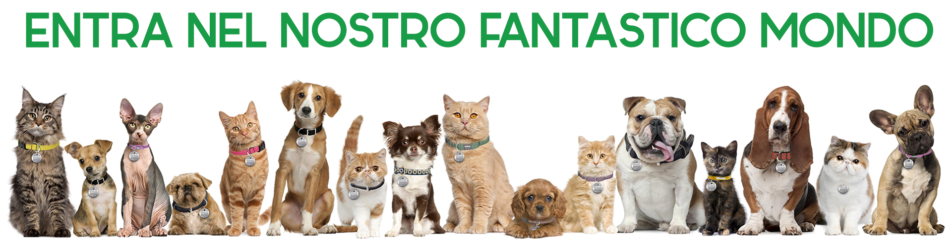 Mondo Animale - Articoli per Cani, Gatti, Uccelli